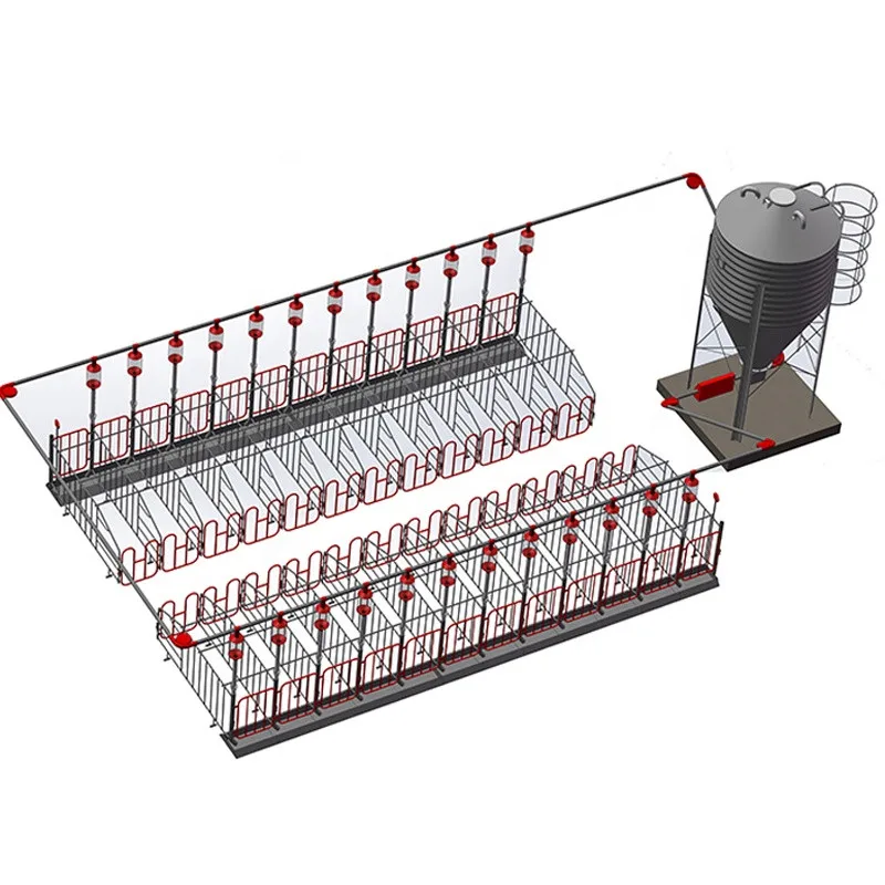 Pig Farming Automatic Feeding System Equipment - Buy Chain Disc ...