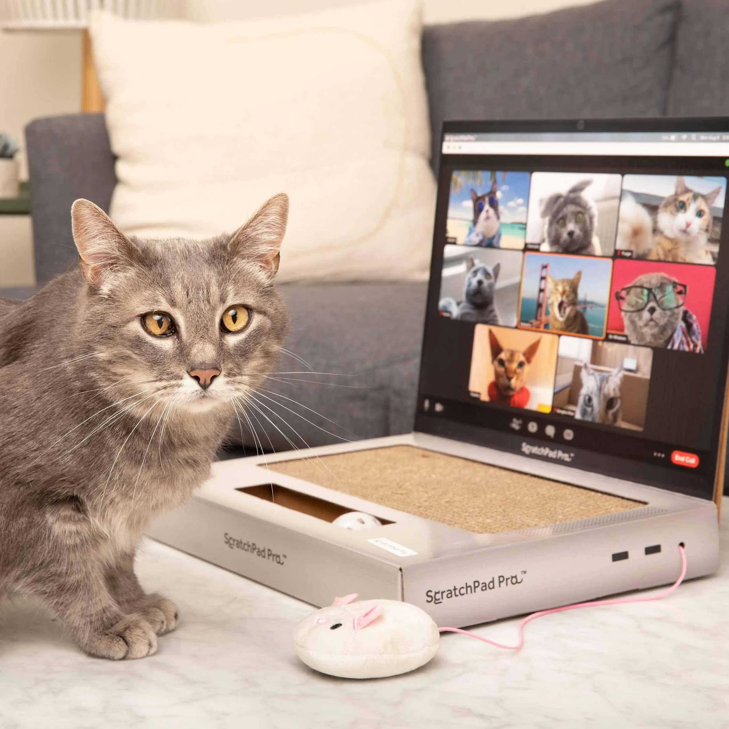 ZMaker Cat Scratcher Laptop with Fluffy 'Mouse' Interactive Toys Pet ...