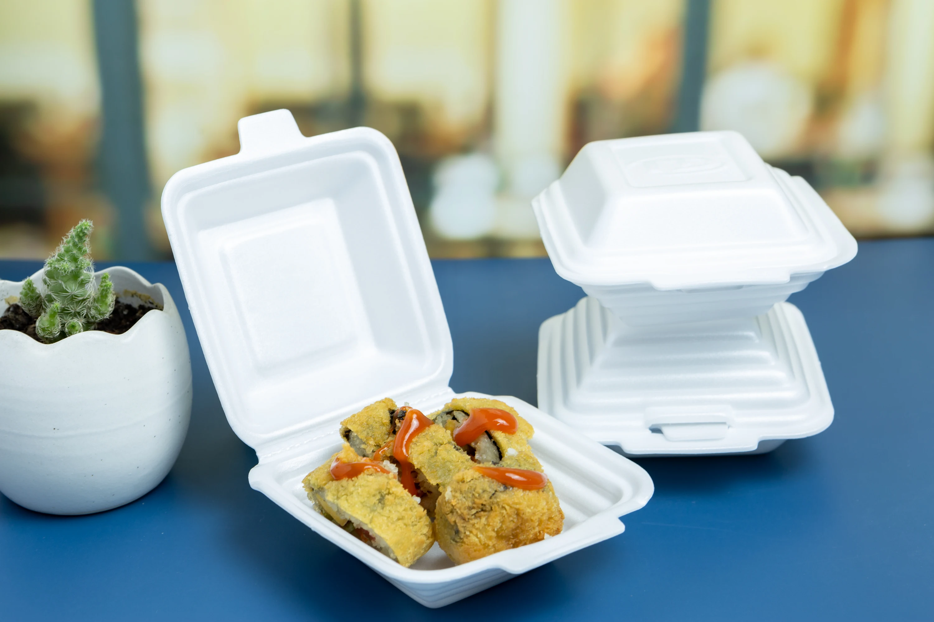 Disposable Partition Food Containers Food Container Supplier Ps Foam Takeaway Food Containers ...