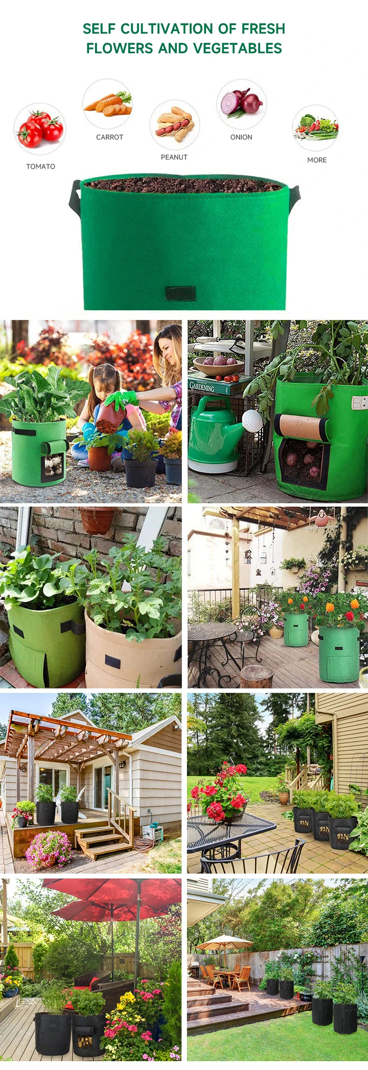 Eco-Friendly Outdoor Garden Planters Healthy and Organic Mushroom ...