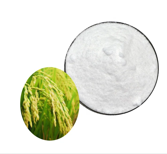 Professional Factory Rice Bran Extract Ceramide 98% Ceramide 3 Powder ...