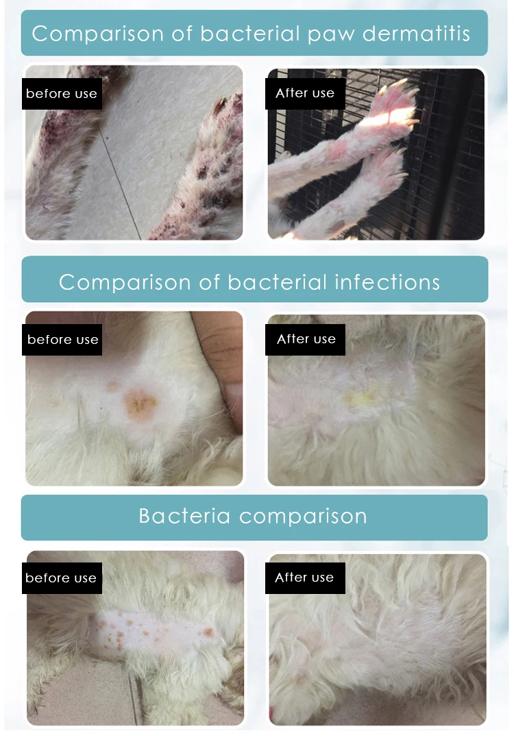 Anti-fungal Cat Ringworm Pet Skin Cat Dog Shower Gel Supplies Pet ...