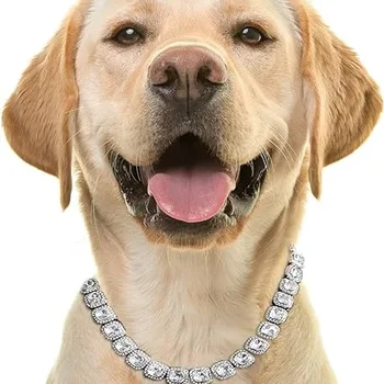 Silver Gold Chain Clustered Diamond For Large Dogs Necklace Collar ...