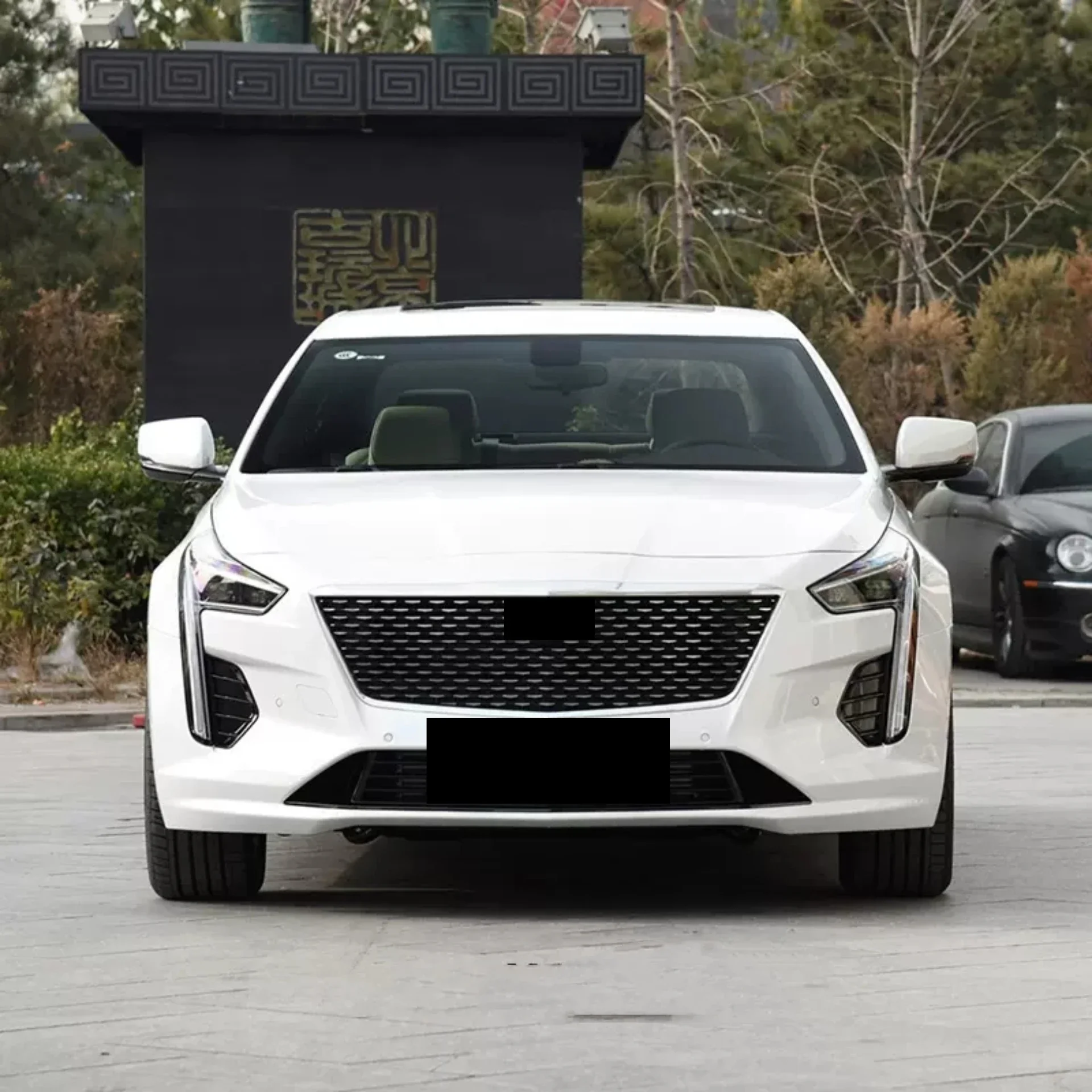 Body Kit Radiator Grille Grid For Cadillac Ct6 19-22 Deluxe Mask Car ...