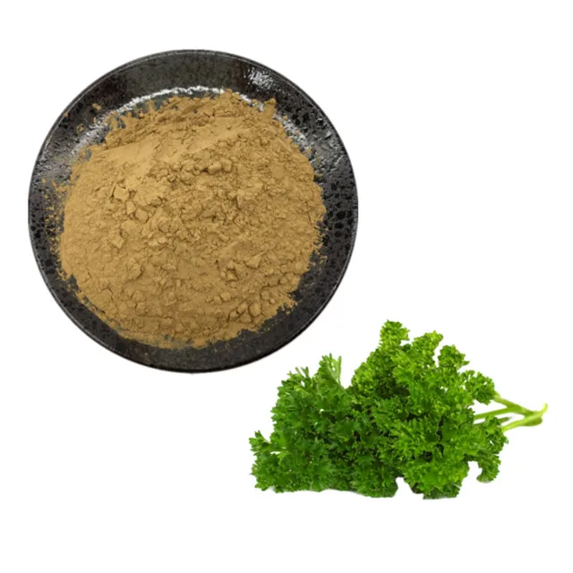 Quality Wholesale Parsley leaf Extract Powder Parsley Extract Parsley ...
