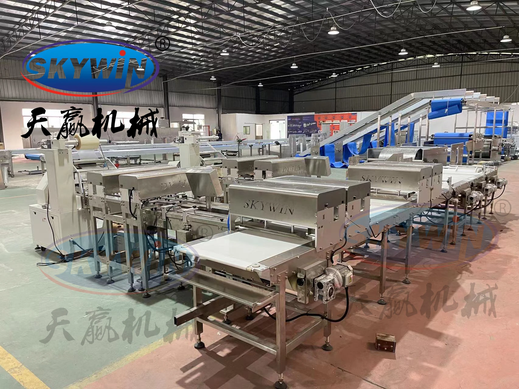 Skywin Automatic Wafer Feeding and Flow Packing System Biscuits ...