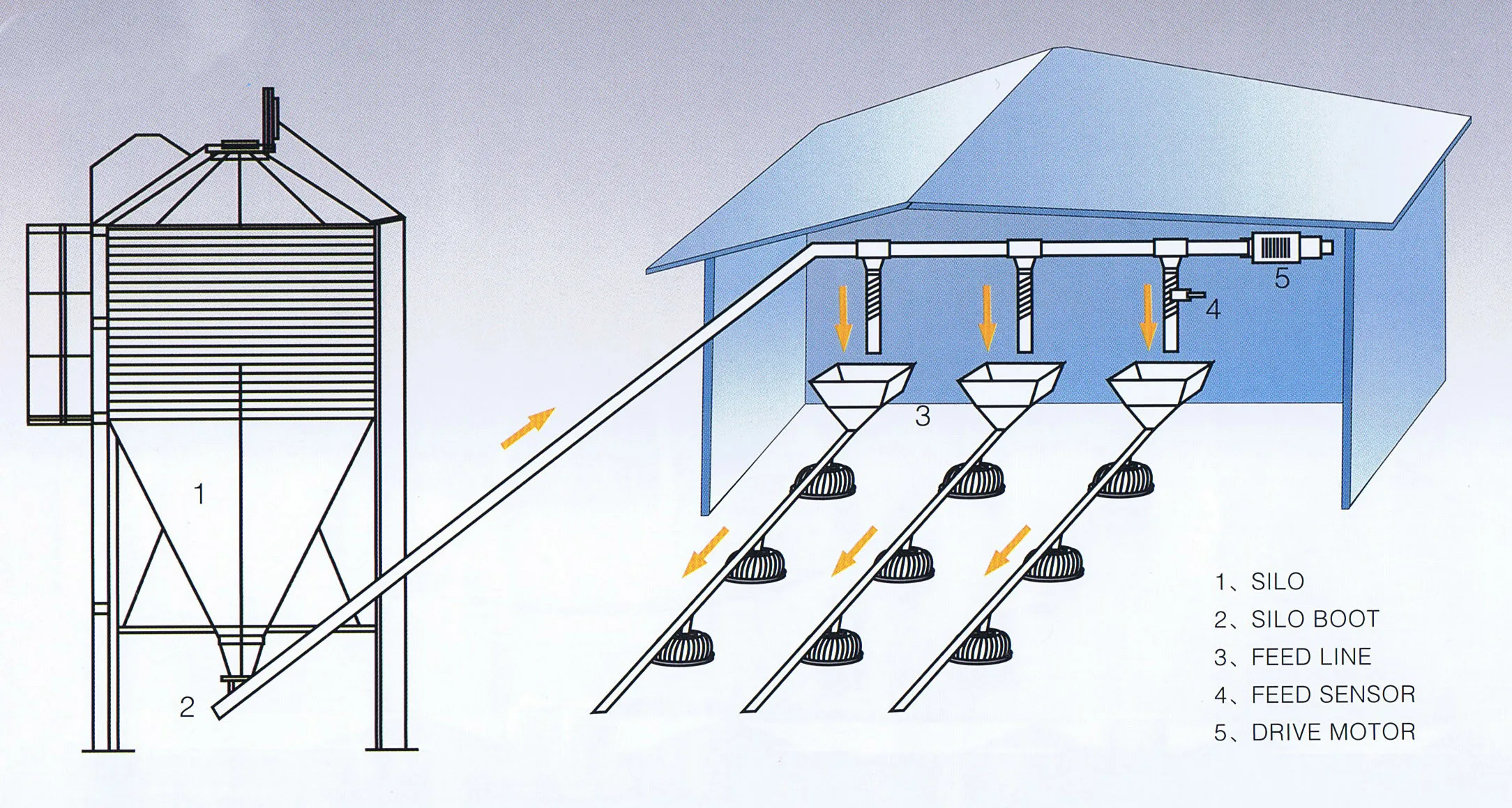Best Selling Poultry Auto Feed System Poultry Equipment Poultry Feeders ...