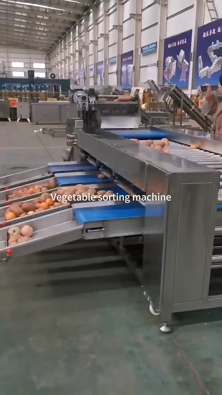 Industrial Sour Sweet Lemon Pineapple Olive Cherry Fig Fruit Size ...