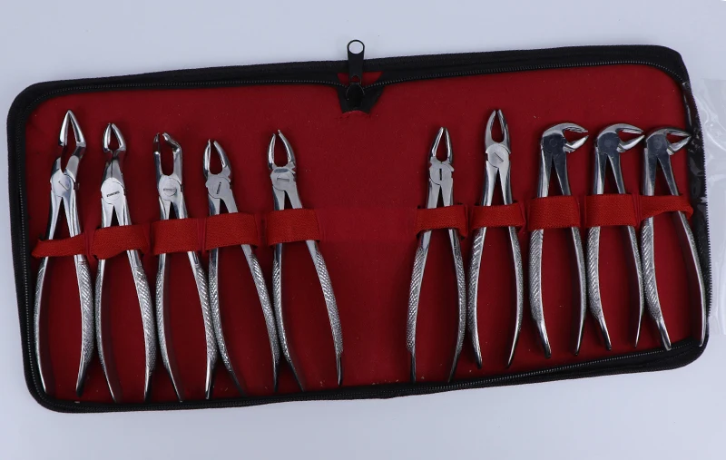 E-luck Dental Extracting Forceps - Quality Tooth Extraction