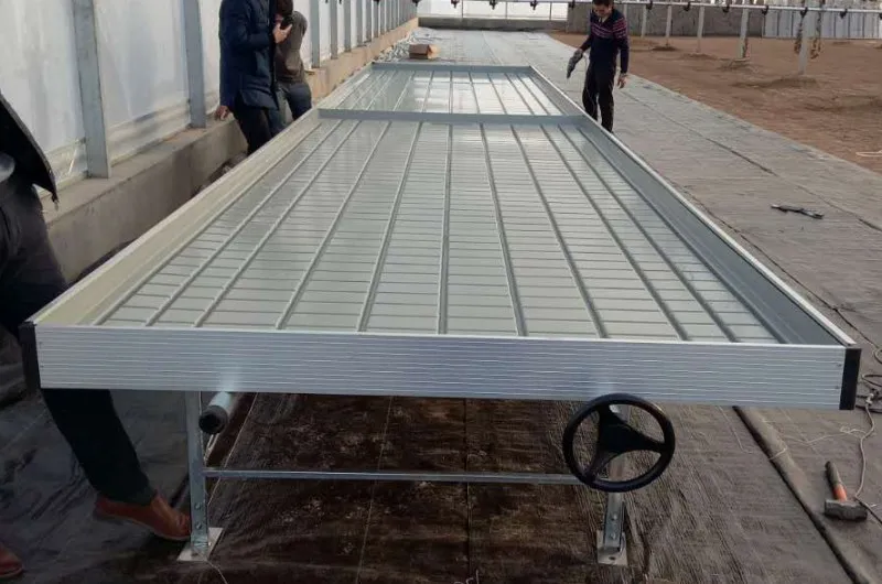 Hydroponic Growing System Flood Grow Table 4*8FT Customized Ebb and ...