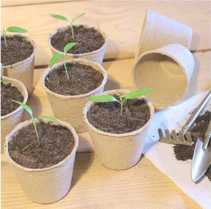 Paper Pulp Small Seeding Pots - Biodegradable & Versatile