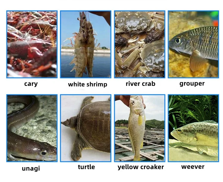 Aquaculture Feed Complex Vitamins Premix for Fish & Shrimp