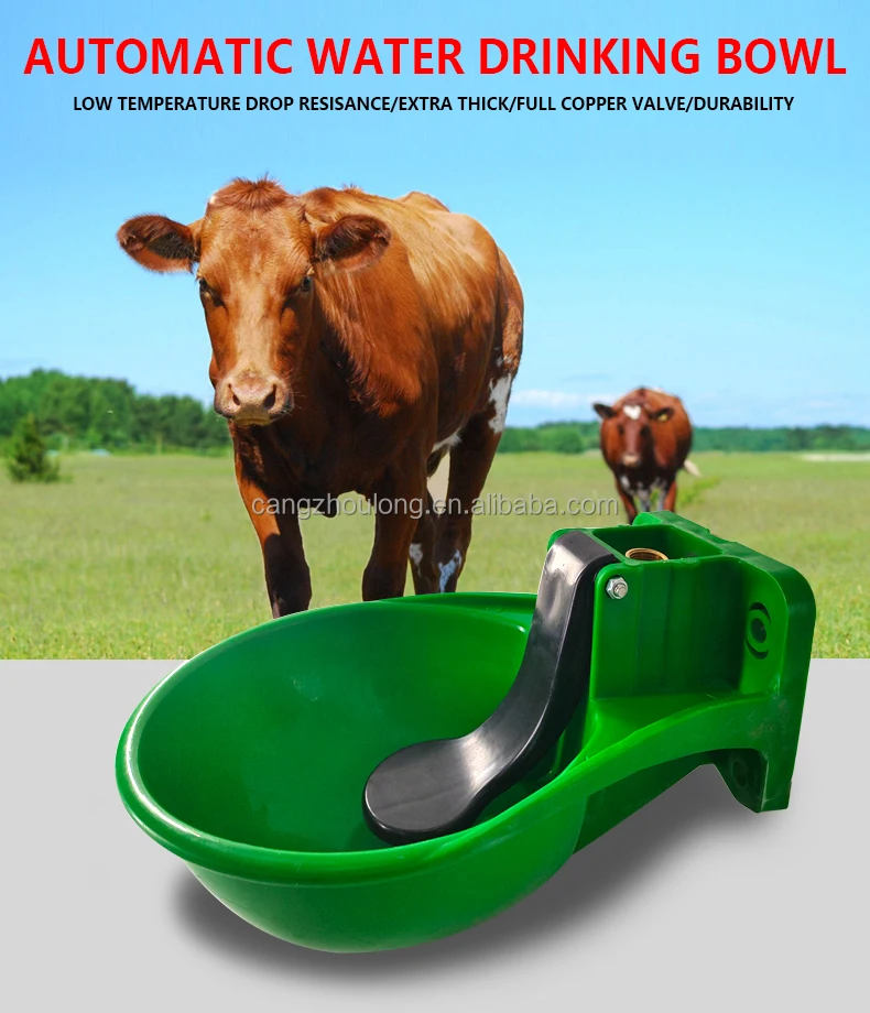 Yya/lms-01 Automatic Farm Equipment Cow Drinking Water Bowls For ...