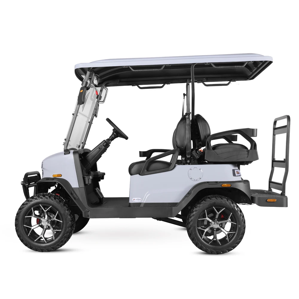 Tao Motor 2024 Electric Golf Carts - High Quality & Performance