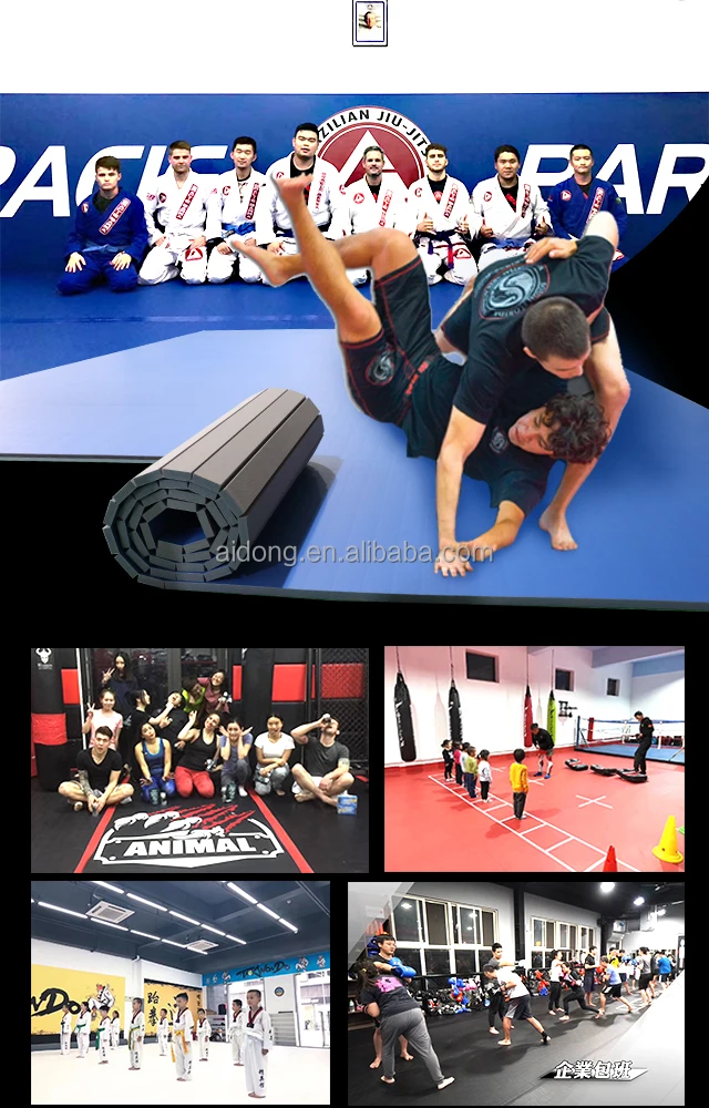 AIDONG Factory Tatami Judo Mats - Perfect for BJJ & MMA