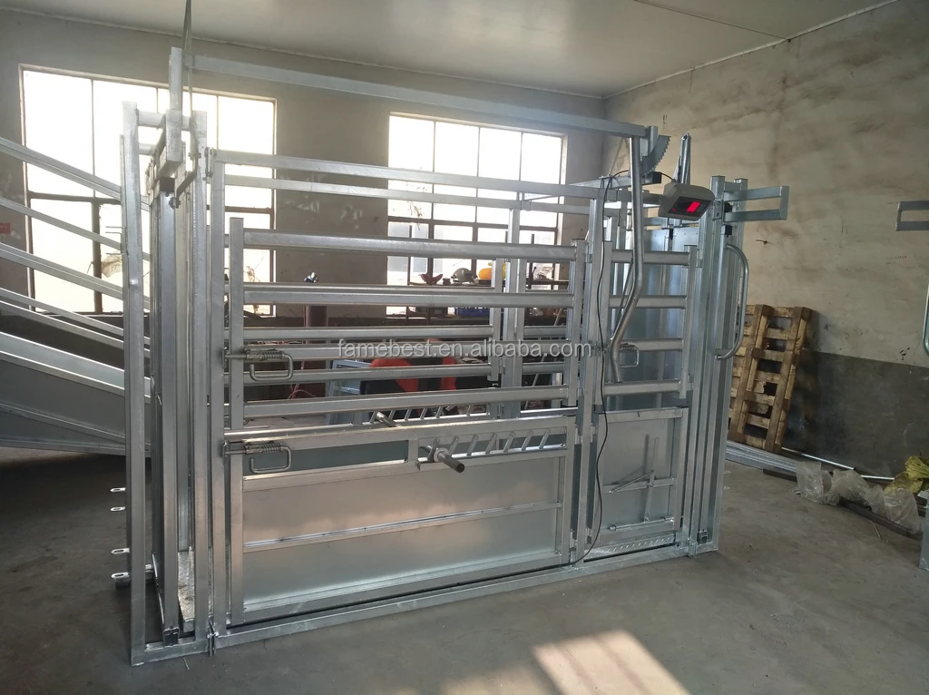Adjustable Galvanized Cattle Chute Loading Ramp Livestock Equipment ...