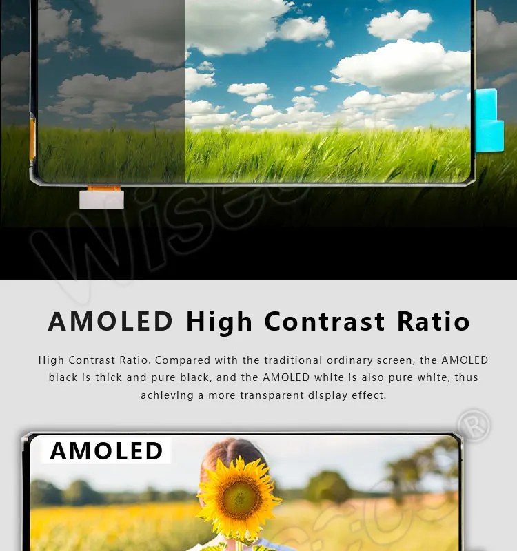 6 Inch Flexible OLED Display - High Resolution & Brightness