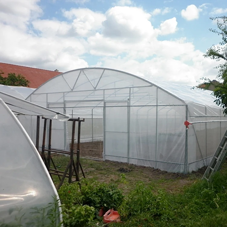 Low Cost Tunnel Greenhouse Galvanized Steel Frame Single Span Pe Film ...