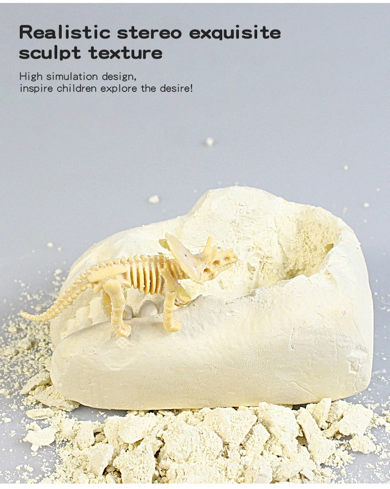 Promotion Plaster Dino Skull Model Dinosaur Skeleton Fossils Digging ...