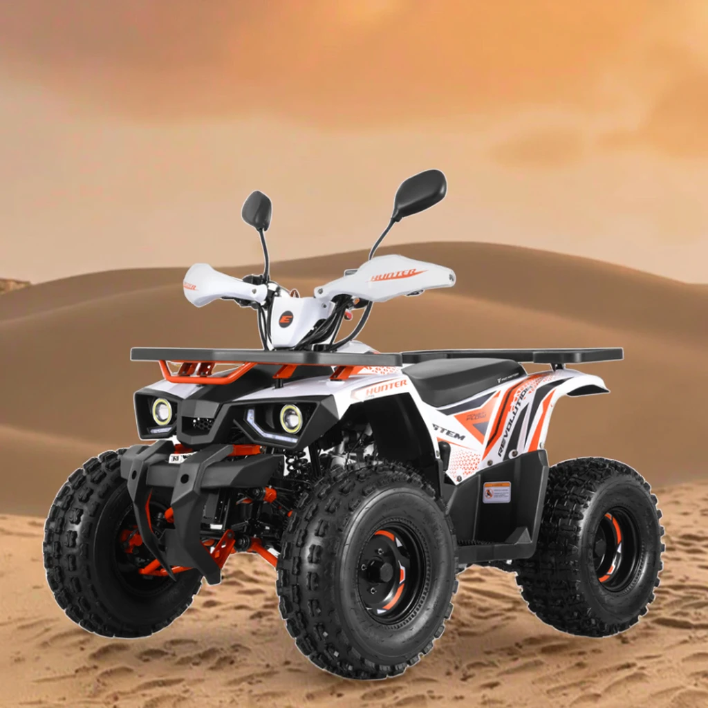 Tao Motor 2025 New 4 Wheeler - off Road Quad Buggy ATV 125cc