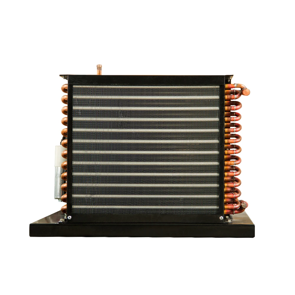 220V 50hz Single Phase 3HP FH2511Z Cold Room Refrigeration Unit