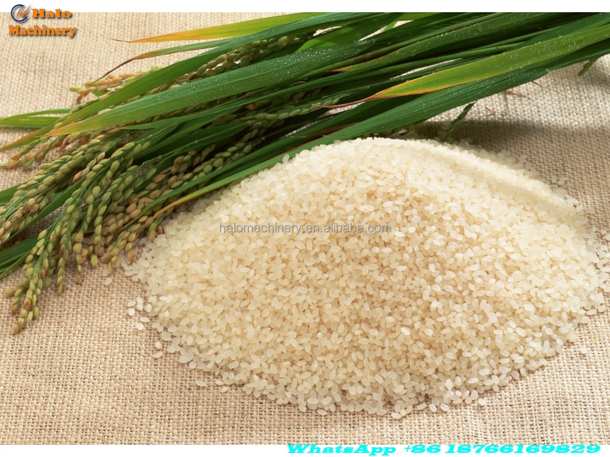 Jinan Halo Popular Extruded Machinery Automated Remake Artificial ...