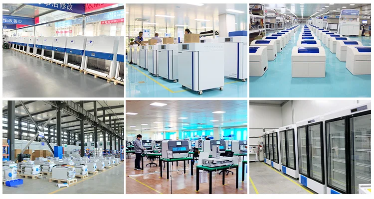 BIOBASE Constant-Temperature Drying Oven Laboratory Efficient Oven ...