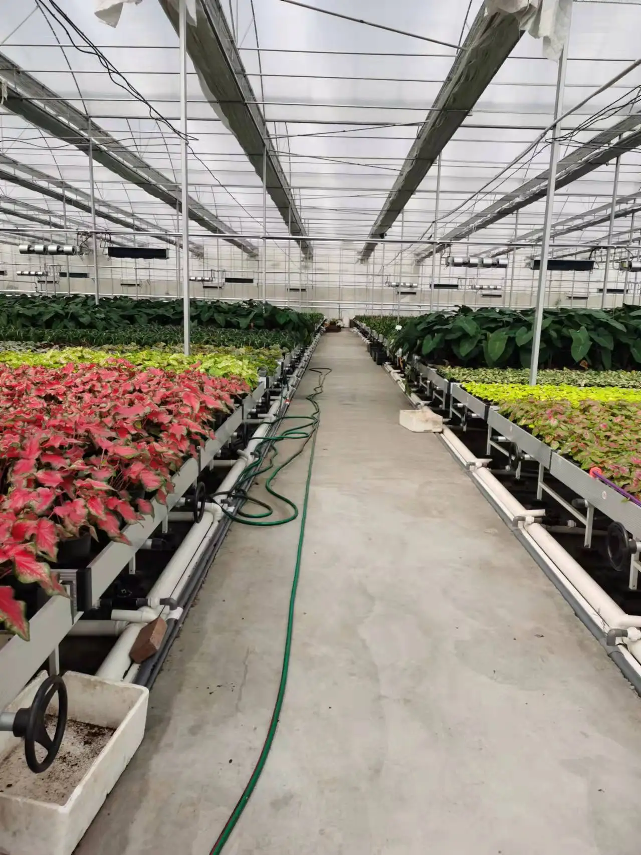 Indoor Vertical Growing Plants Table Grow Flood Drain Tray Hydroponic ...