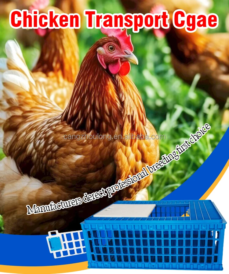 High Quality LMC-02 Three Doors Chicken Baby Chicks Roosters Hen ...