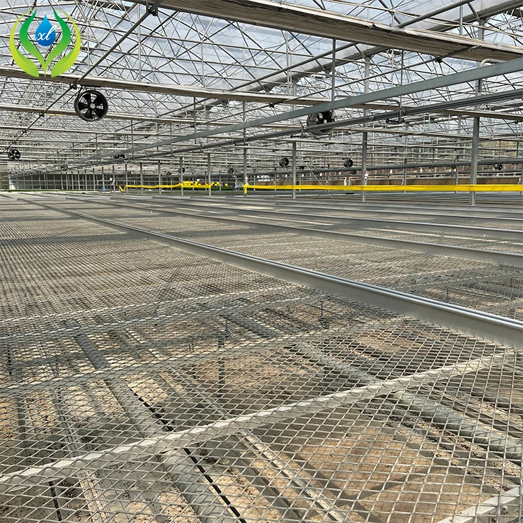 MYXL Hydroponic Tables - Efficient Indoor Growing