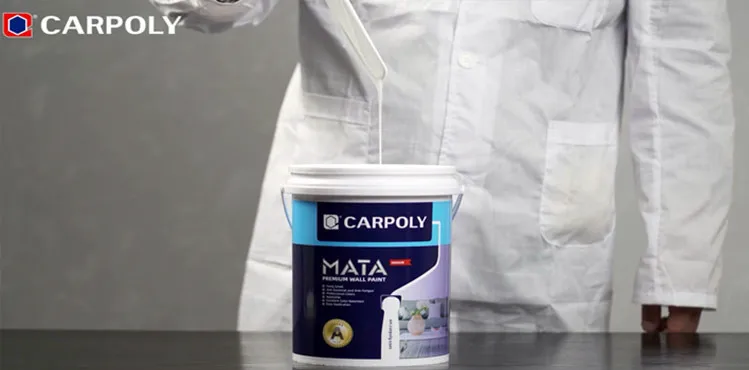 Carpoly Texture Coating For Wall Decoration Apartments Hotels Parks ...