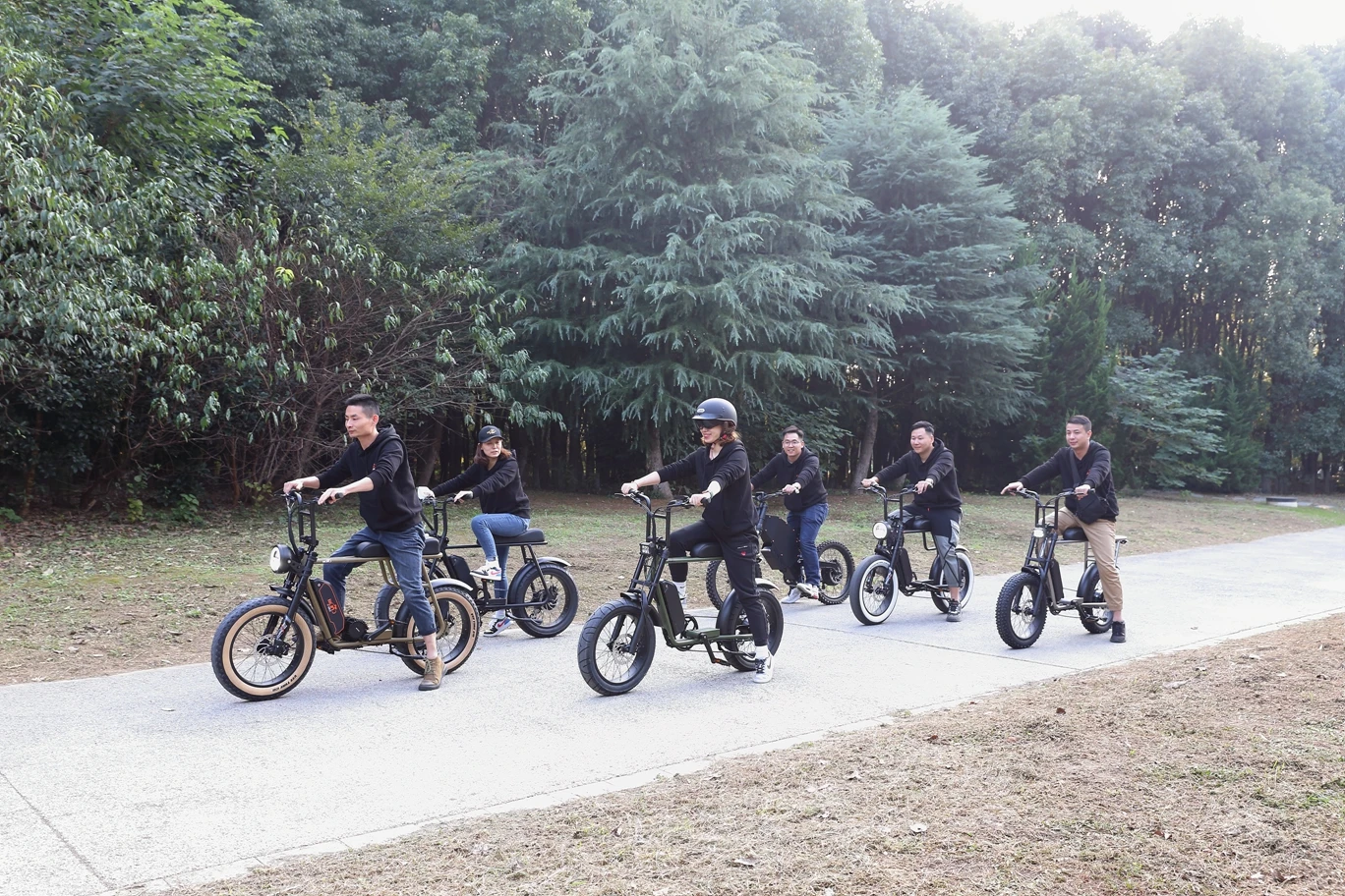 Mario Ebike 250W Mid Drive Motor - City Bike Performance