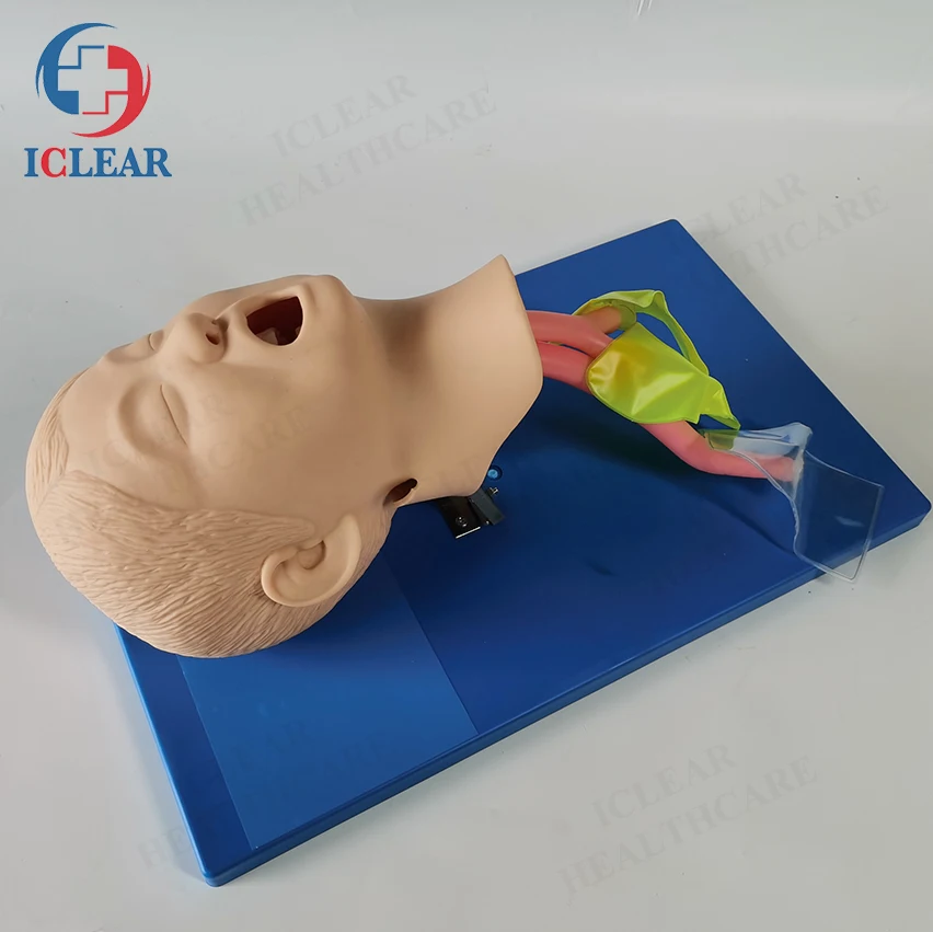 Soap Me Intubation - Training Manikin for Medical Students