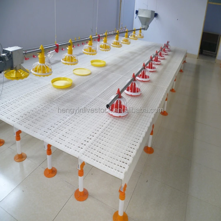 Broiler Poultry Farm Equipment White Plastic Floor Slat for Chicken ...