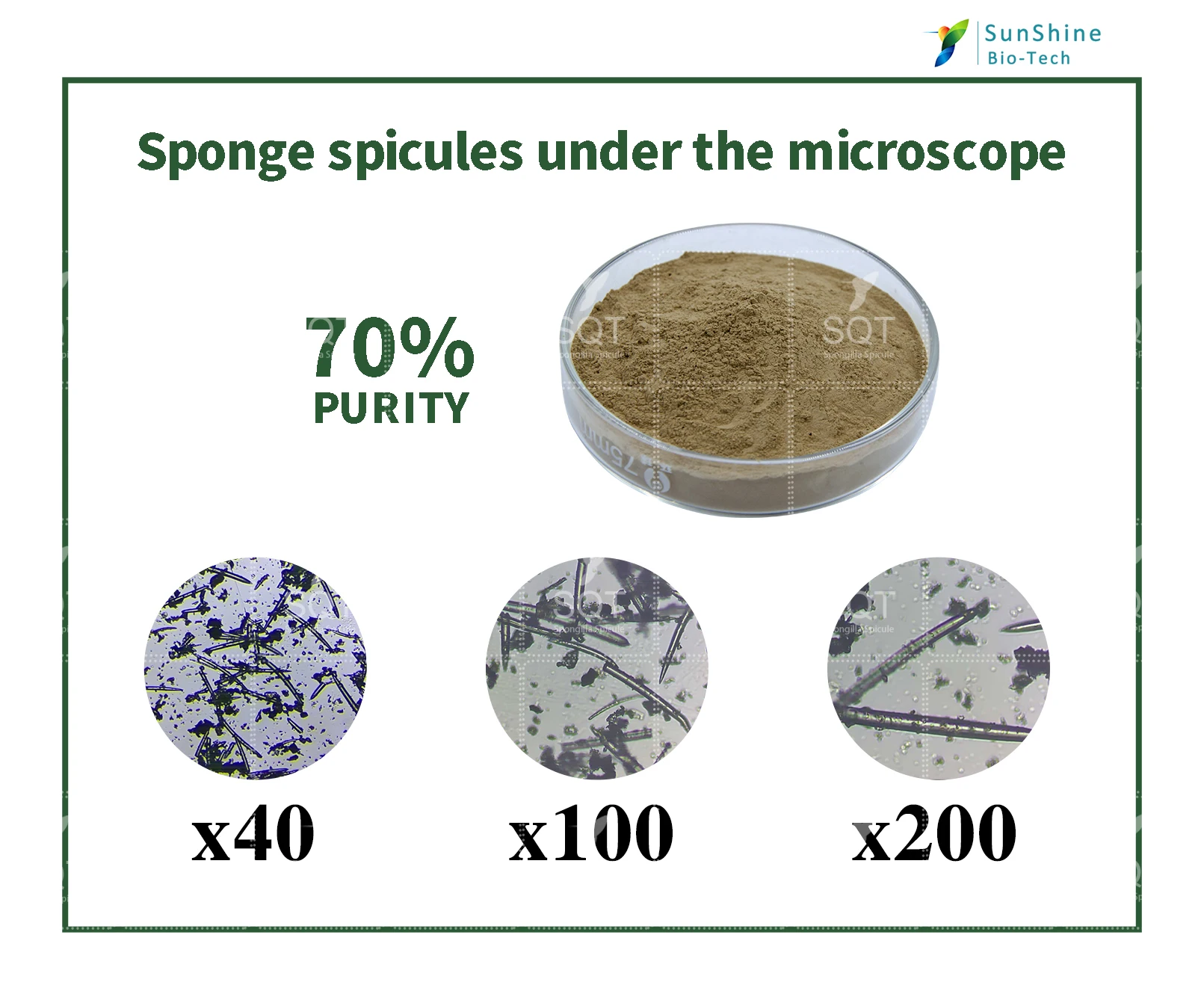 Free Sample Spongilla Spicules - Hydrolyzed Sponge Extract