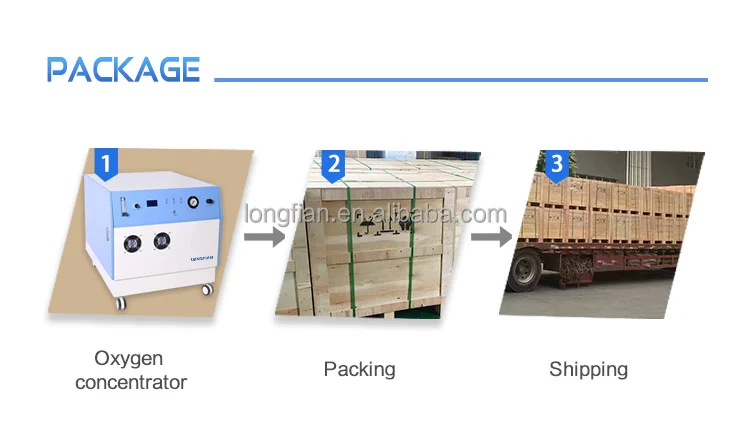 Psa System Large High Pressure Oxygen Generator 20 Liter 4 Bar Oxygen Concentrator For Vet - Buy ...