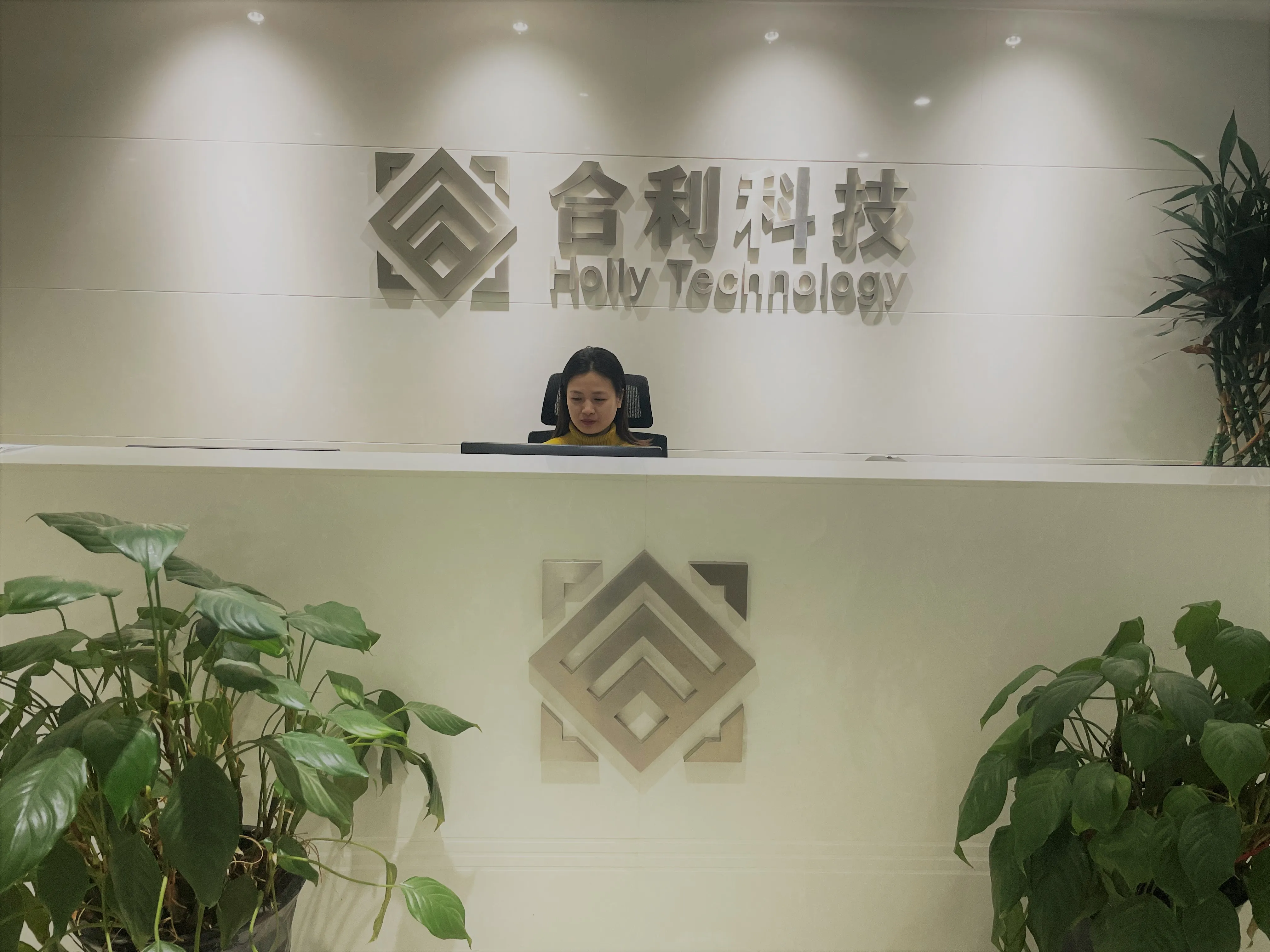 Gallium Arsenide Solar Cells - Flexible, High Efficiency