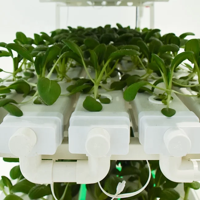 Small Column Vertical Hydroponic System Rack Nft Channelscolumn ...