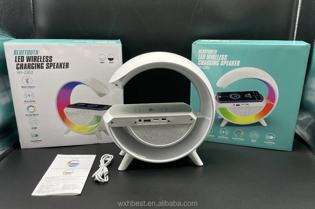 Big G Fm Radio Bt 15w Faster Charger 7 Color Rgb Light 5 In 1 Wireless Charger Hm-2301 Led Lamp ...