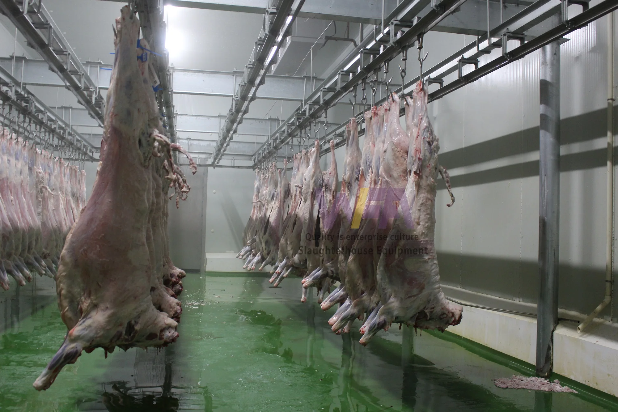 Muslim Halal Goat Slaughterhouse Equipment Carcass Processing ...