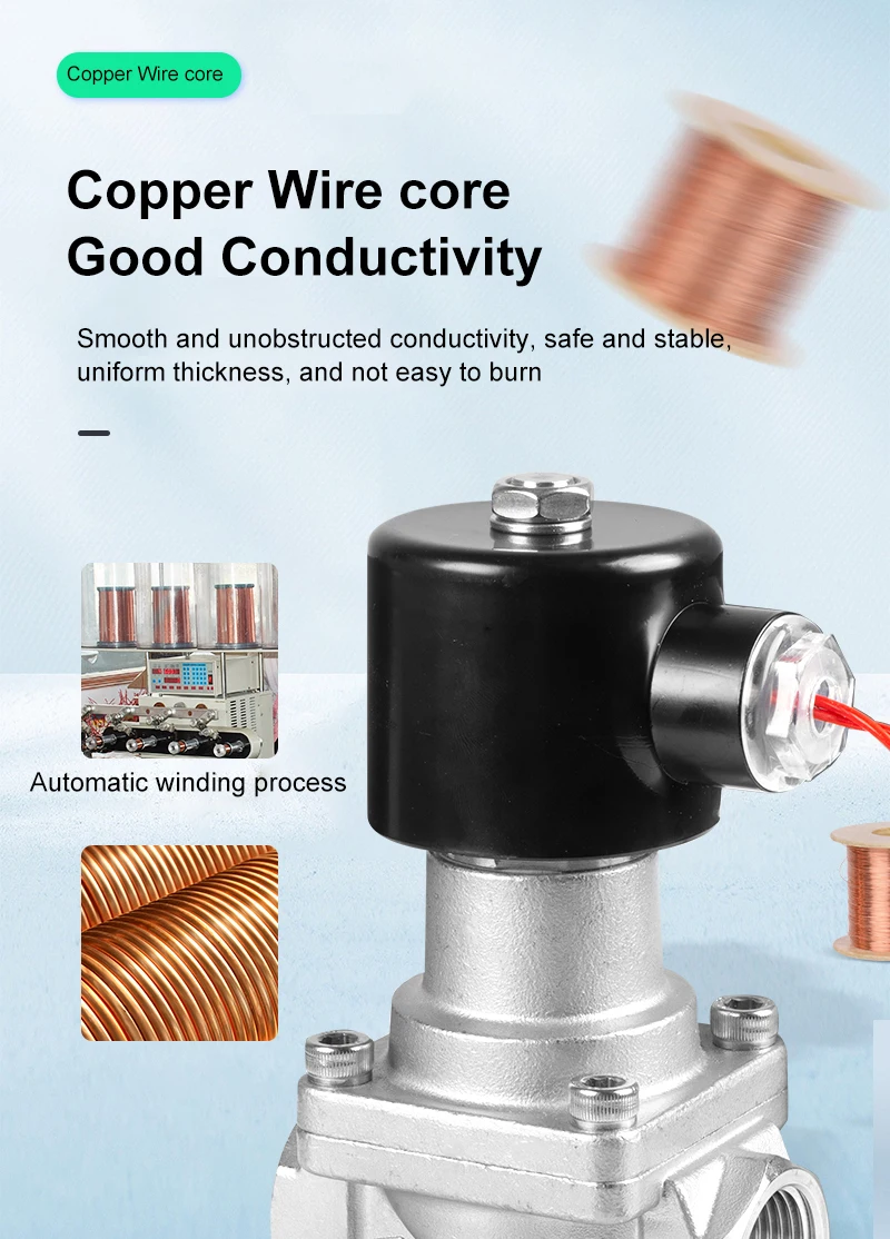 Flange Connection AC220V 304 Stainless Steel Steam Engine Piston ...