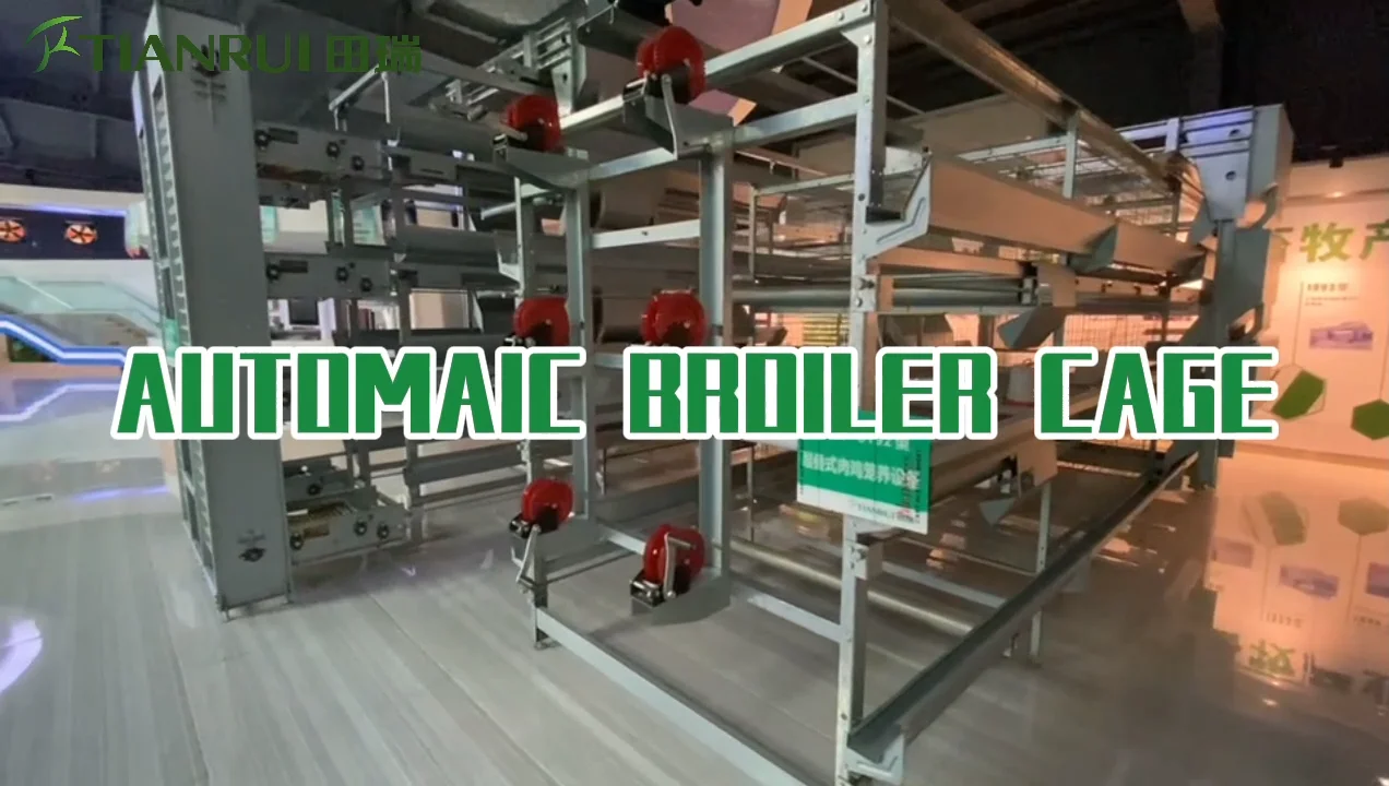 Automatic Birds-harvesting Broiler Poultry Farming Modern Design ...