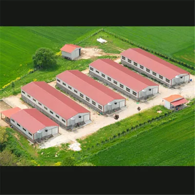 FM Prefab Poultry Closed House System - Efficient & Durable