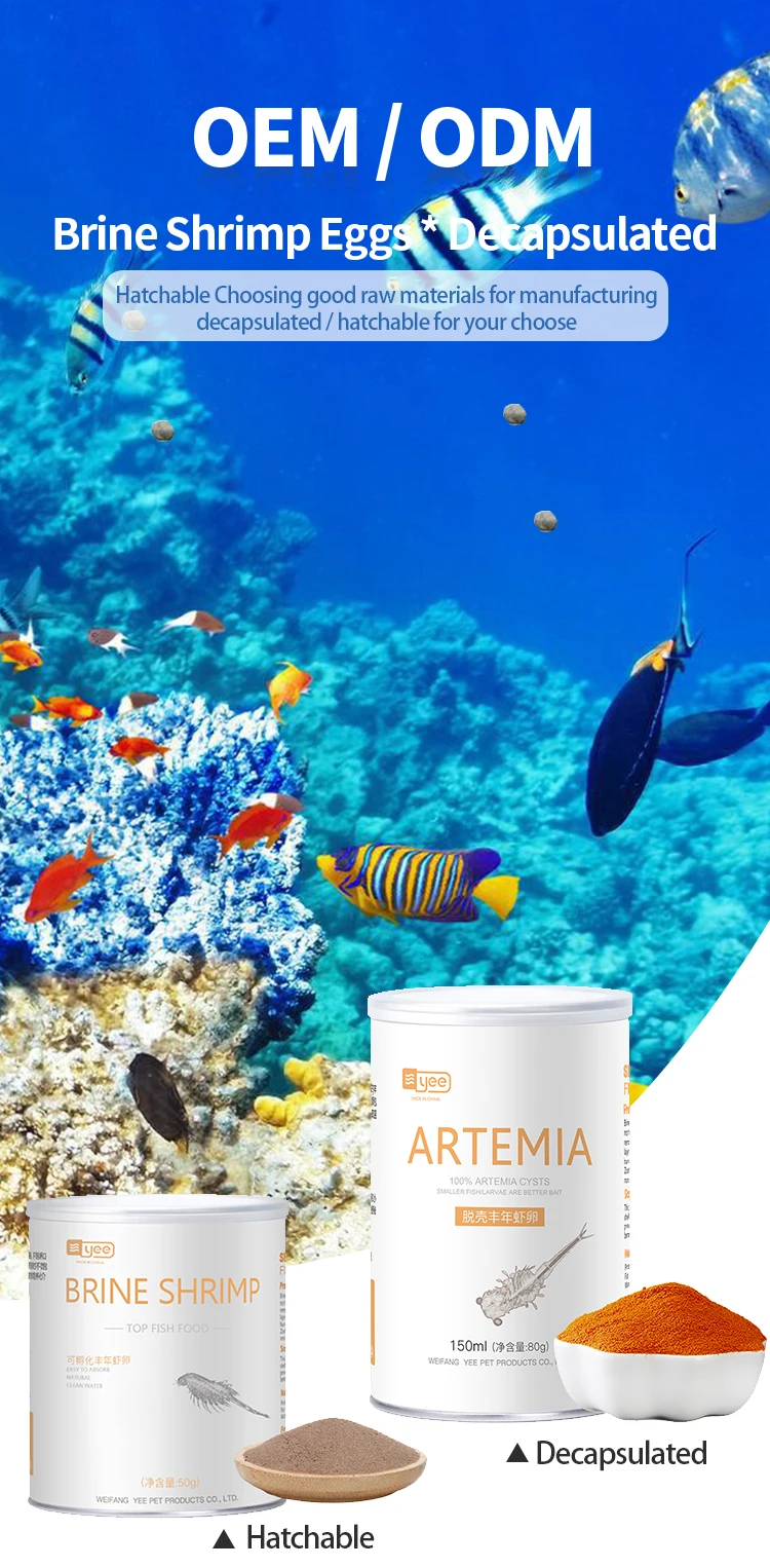 Artemia Brine Shrimp Eggs Brine Shrimp Eggs Fish Feed Artemia Cysts ...