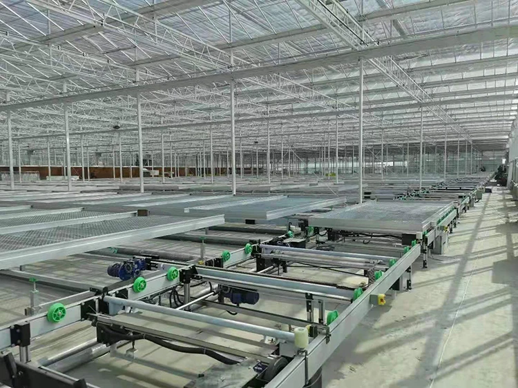 Complete Ebb and Flow Rolling Bench Hydroponic Grow Table Flood Table ...