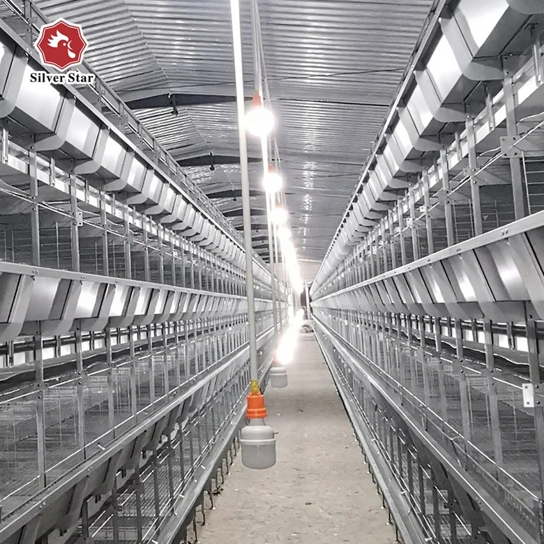 Broiler Poultry Farm House Design Folding Chicken Cage/multi-tier ...