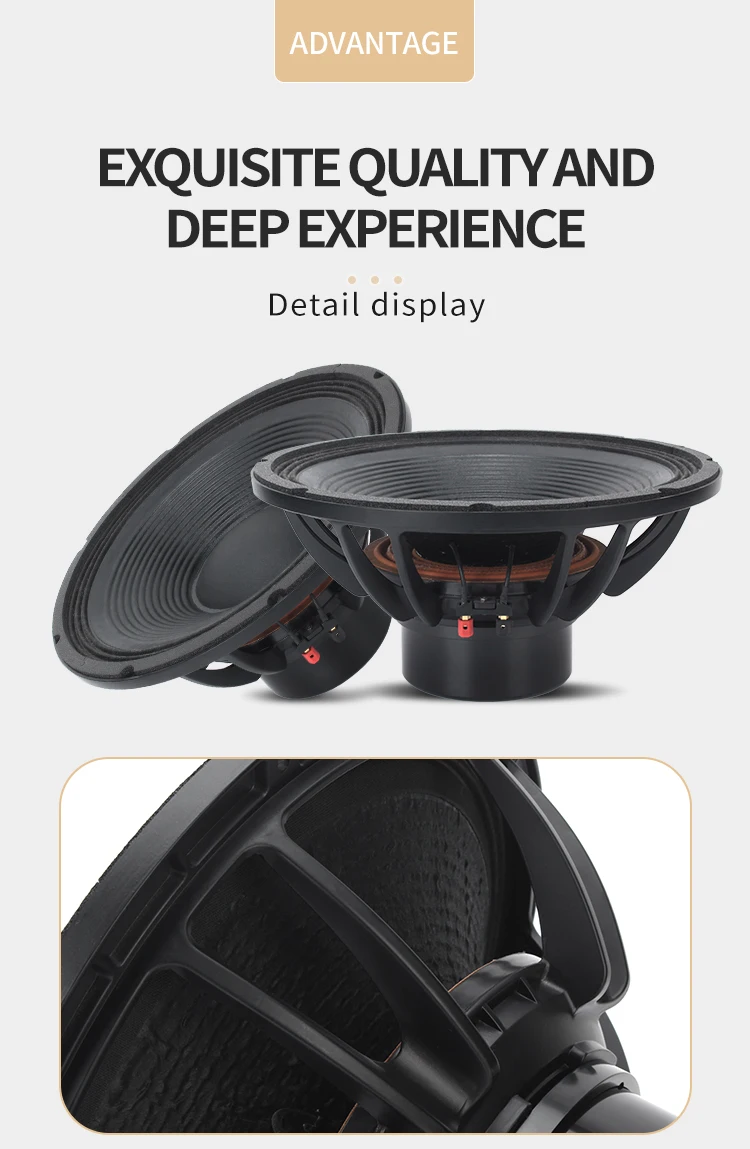 18 Inch Woofers - Powerful Subwoofers for Professional Bass