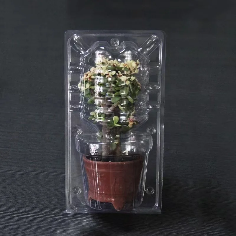 Plastic Clamshell Box for Potted Plants - Blister Packing