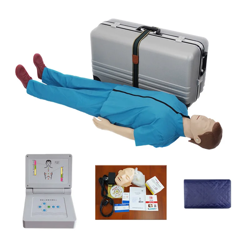 Cardiopulmonary Resuscitation Simulation Human Artificial Respiration ...