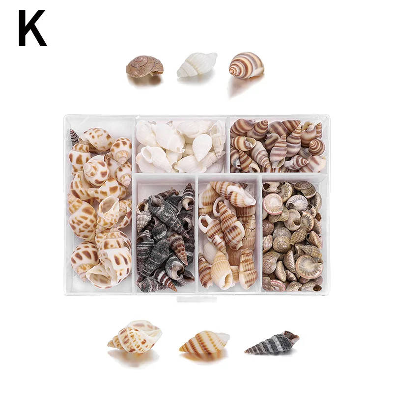 Extra Tiny Mix Sea Shells,Very Small & Clean,28 G Apprx. 110-120 Pcs+ ...